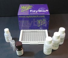 Preparing Conditioned Media Samples for ELISA & Multiplex Assay Kits | RayBiotech | RayBiotech